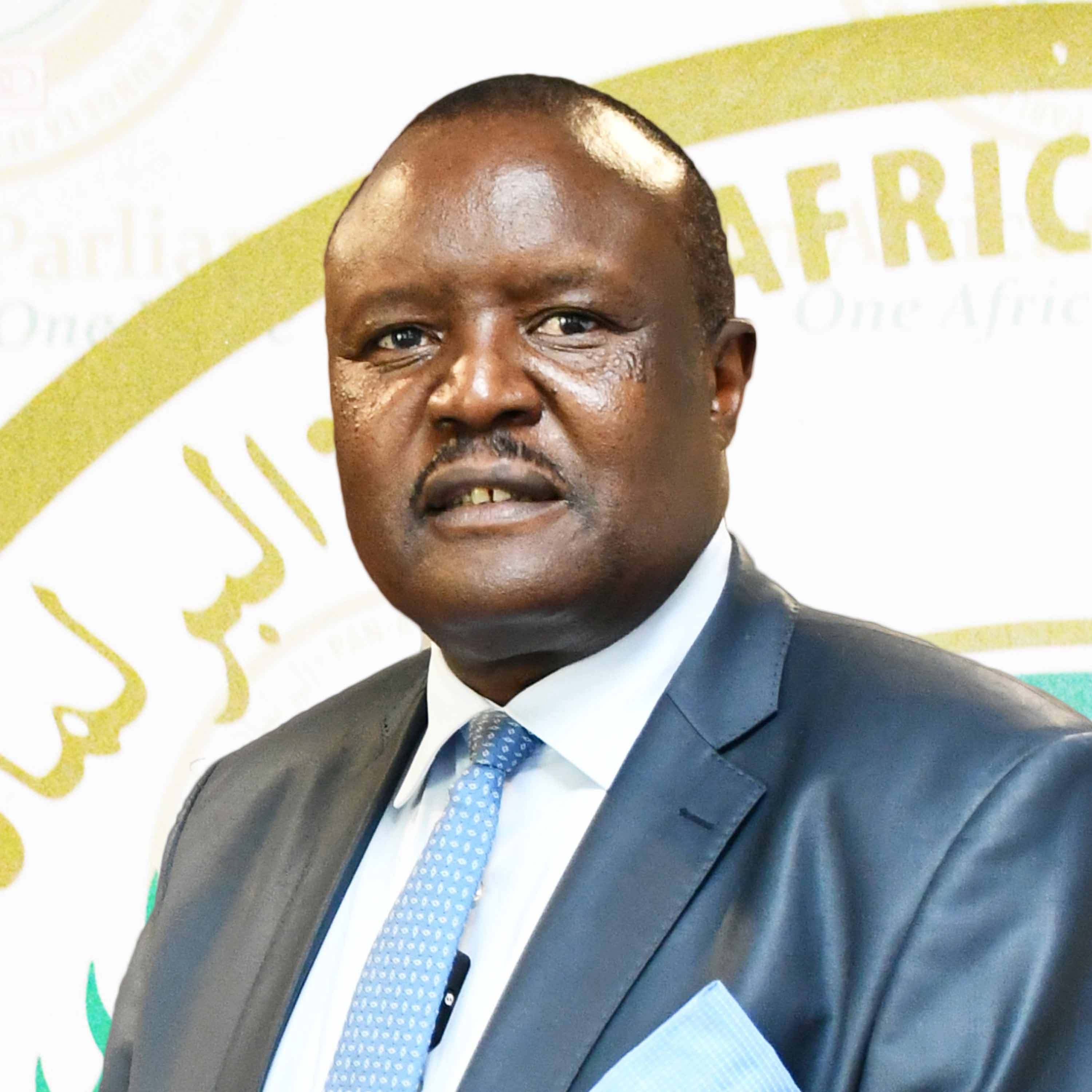 STATEMENT BY THE PAN-AFRICAN PARLIAMENT ON THE EVE OF THE ELECTIONS IN ...